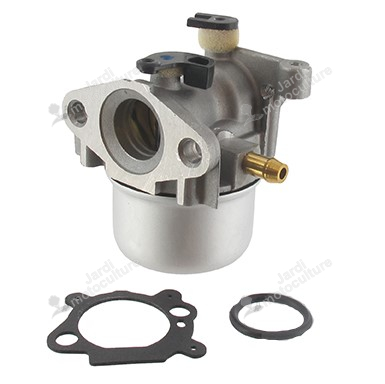 Carburateur moteur BRIGGS ET STRATTON 794304, 796707, 799866, 799871 ...