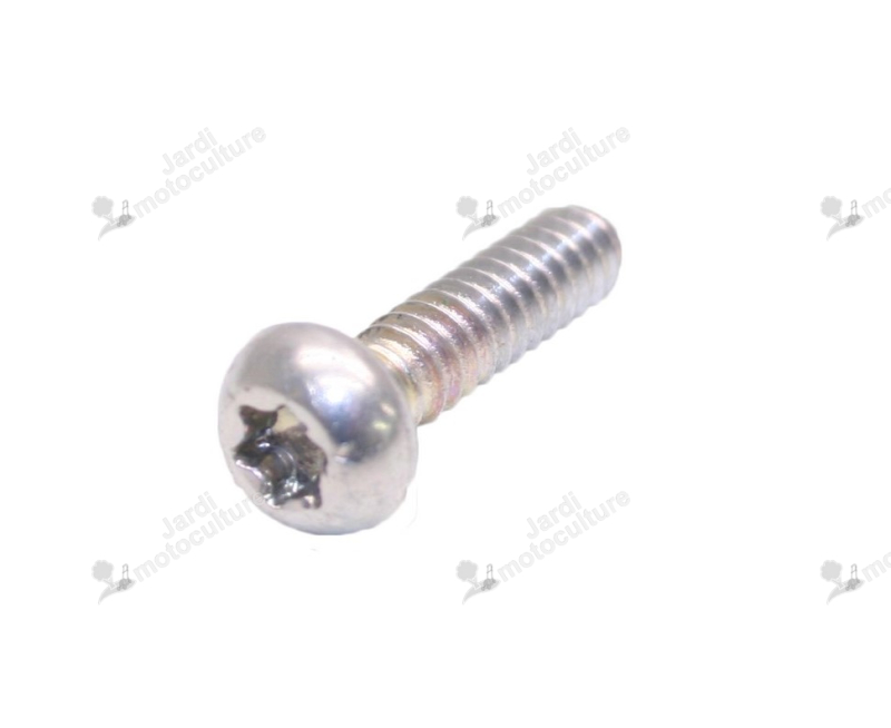 Vis Echo V805000010 5x20 origine| Jardi Motoculture