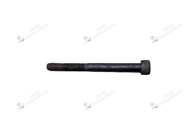 Vis 6 pans ECHO 90010505055 | Jardi Motoculture