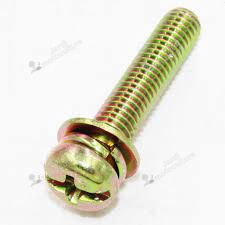 Vis ECHO 90024205025 | Jardi Motoculture