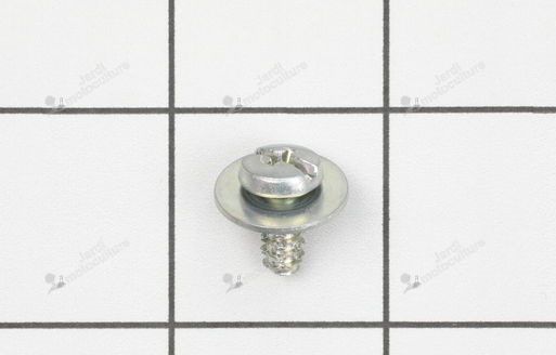 Vis ECHO 17723644330 | Jardi Motoculture