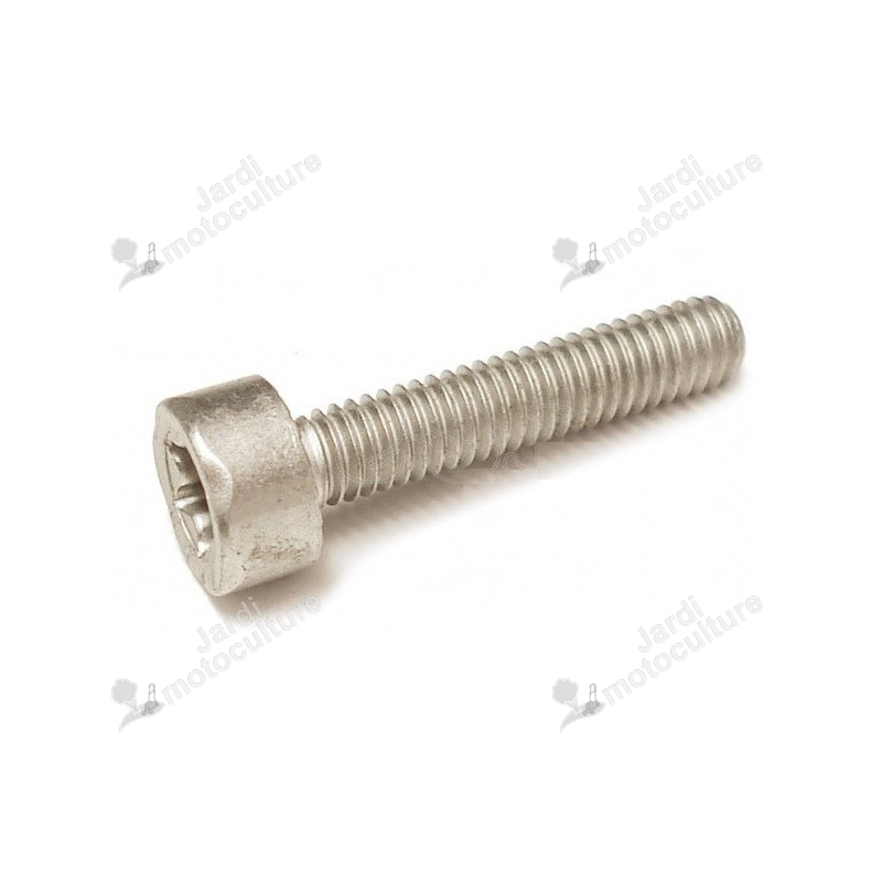 Vis M4 x 20 | Jardi Motoculture